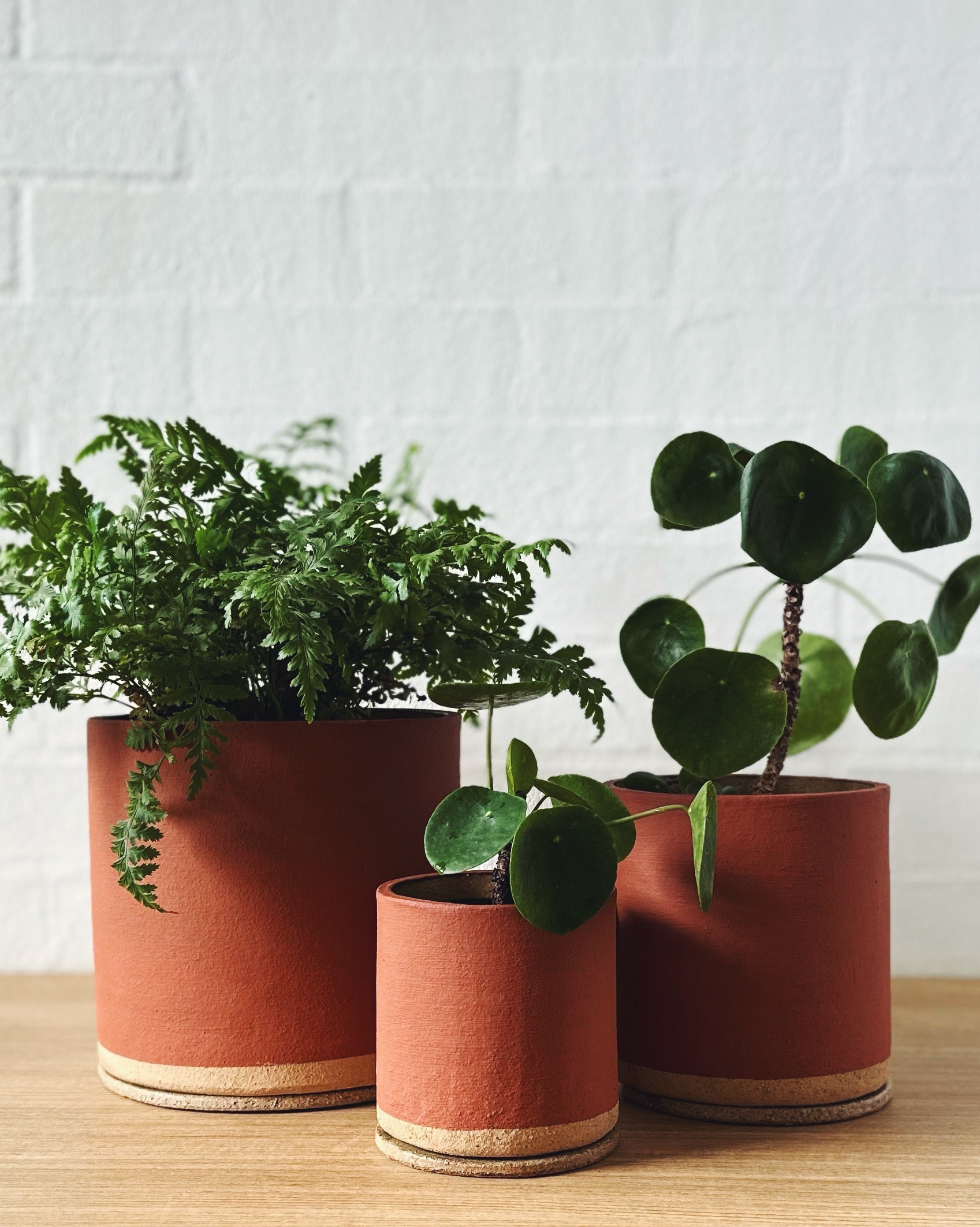 Handmade ceramic planter - Terracotta – Jenn Johnston Ceramics